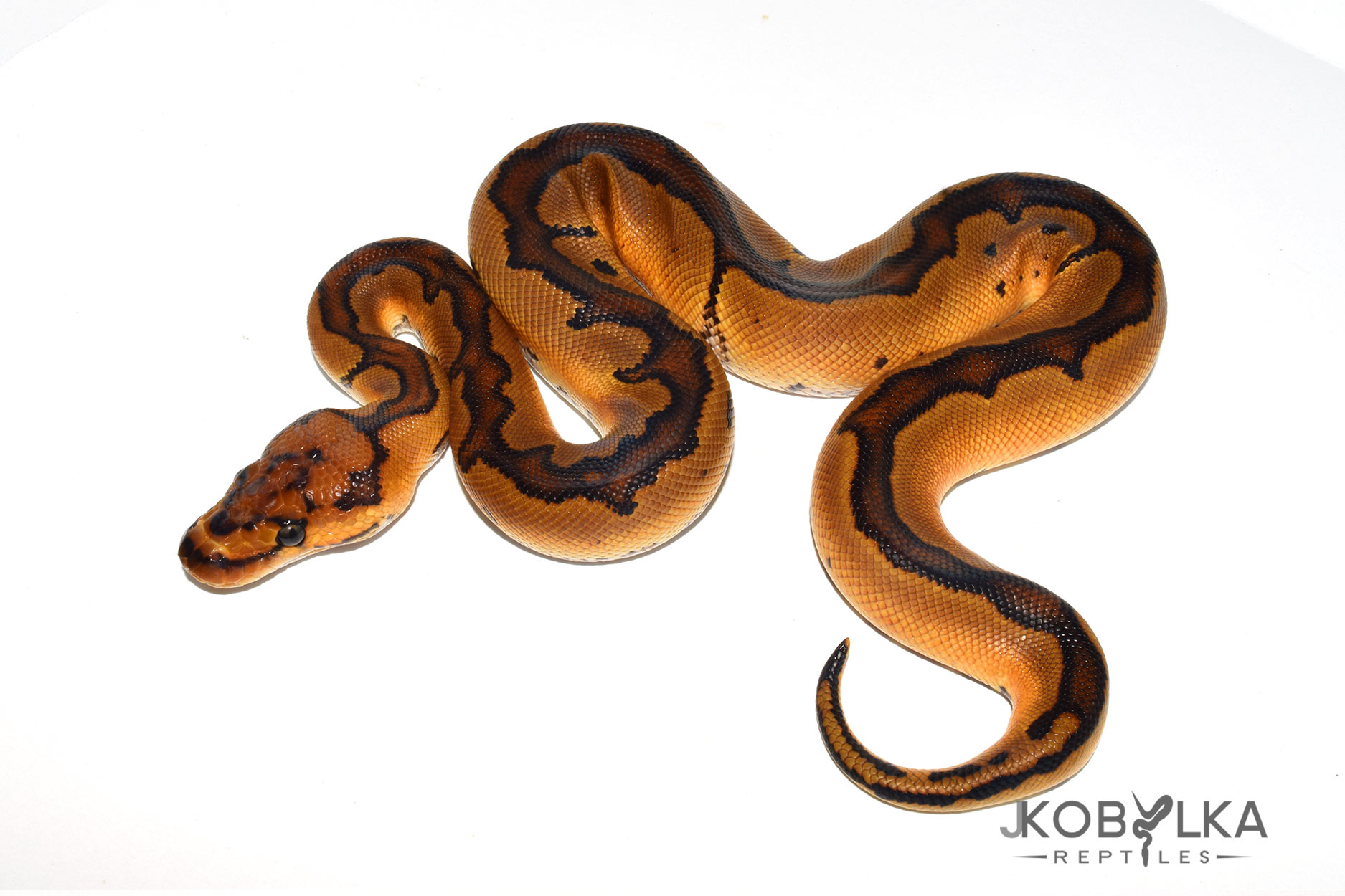 Magma | The Ball Street Journal